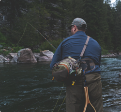 Lower Columbia Steelhead