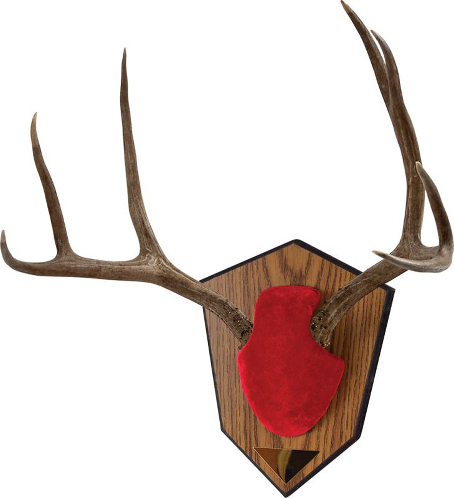 kingly deer mount
